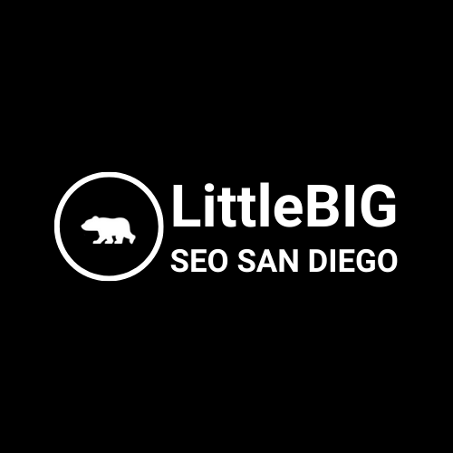 5 Star SEO San Diego CA : No Results, No Payment : Little BIG